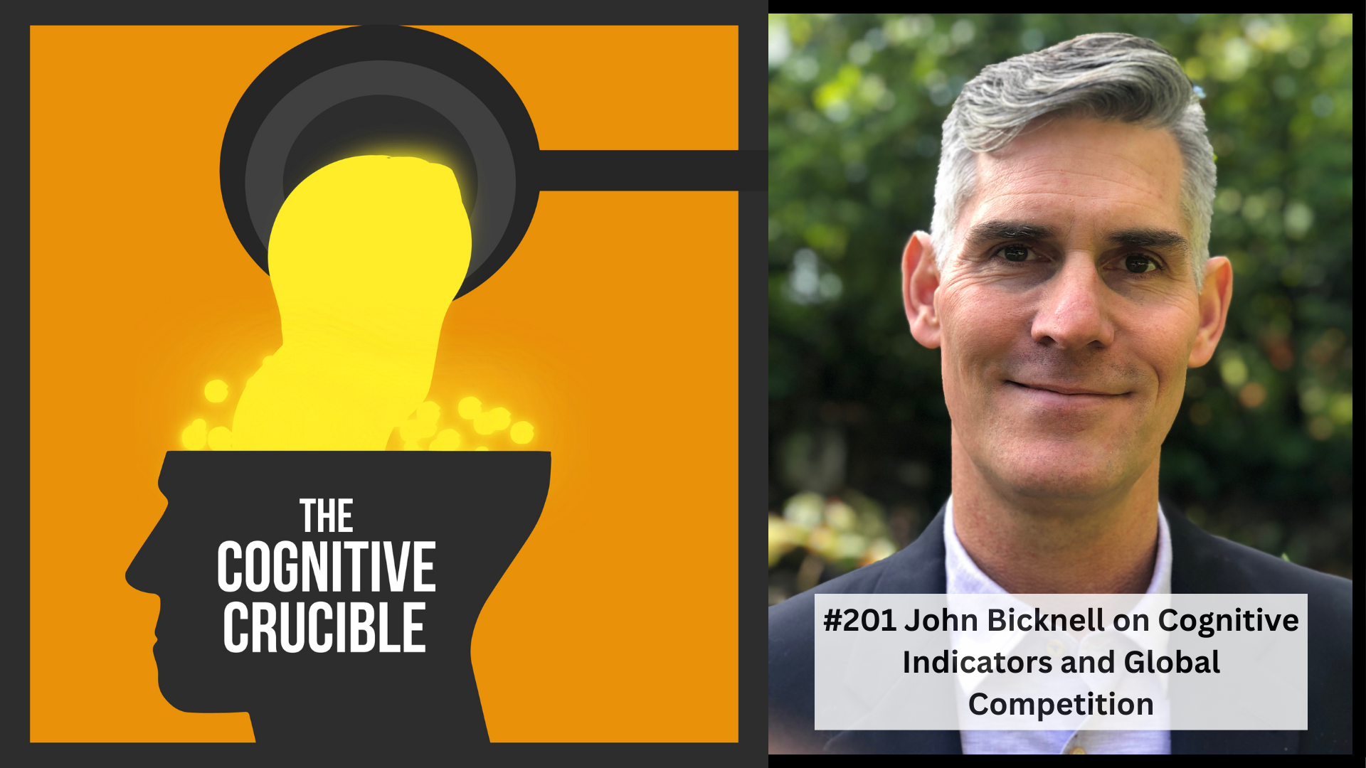 The Cognitive Crucible Episode #201 John Bicknell on Cognitive ...